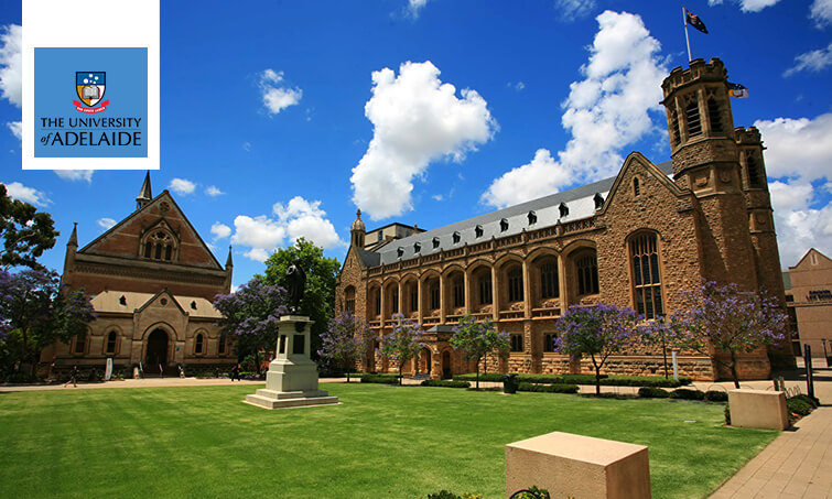 10 things to do in Adelaide – Yogi Journey